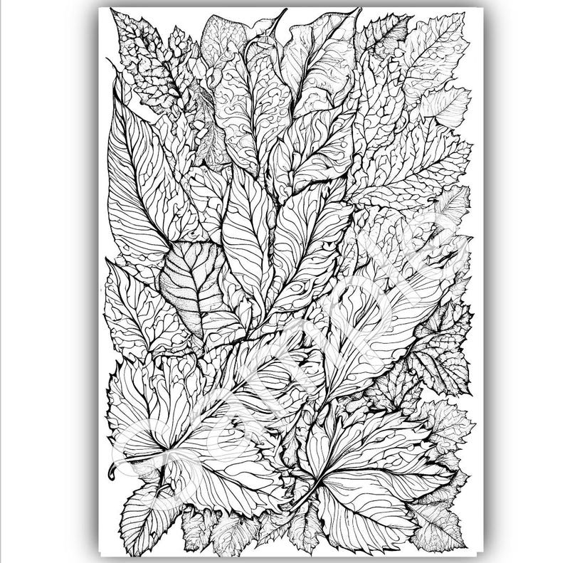 21 Fall Zentangle Designs Coloring Pages 8x11in 500 DPI PNG, Unlimited ...