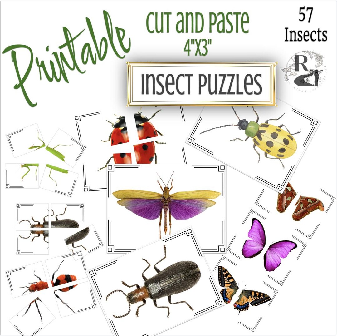 57 Printable Insect Puzzle Task Cards Outdoor Education, 3 Versions ...