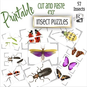 57 Printable Insect Puzzle Task Cards Outdoor Education, 3 Versions ...