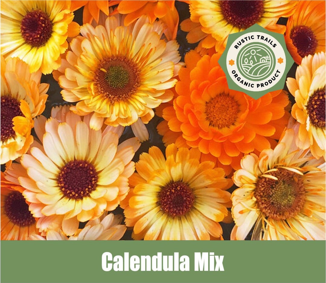 Calendula Mix - Pot Marigold - Asteraceae - Organic - Heirloom Non GMO ...