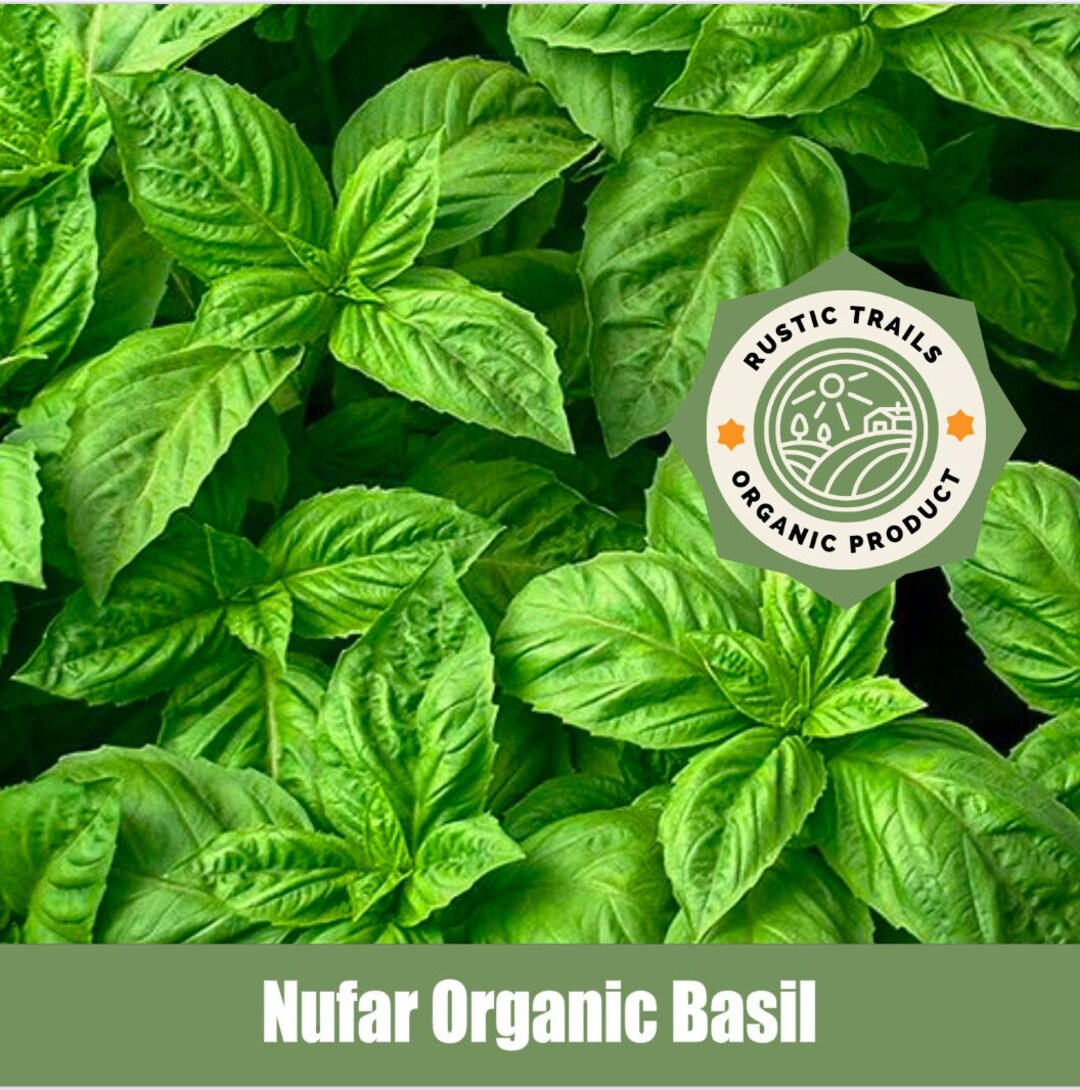 Nufar Organic Basil - Heirloom Non GMO Seeds - Etsy