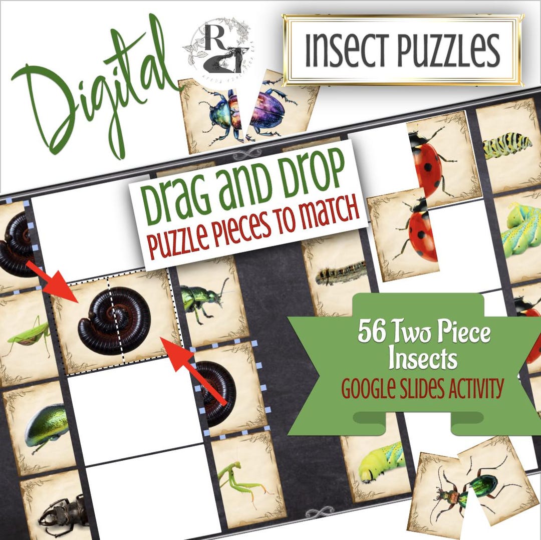 56 Drag and Drop 2 Part Digital Insect Matching Puzzles - Nature, Home ...