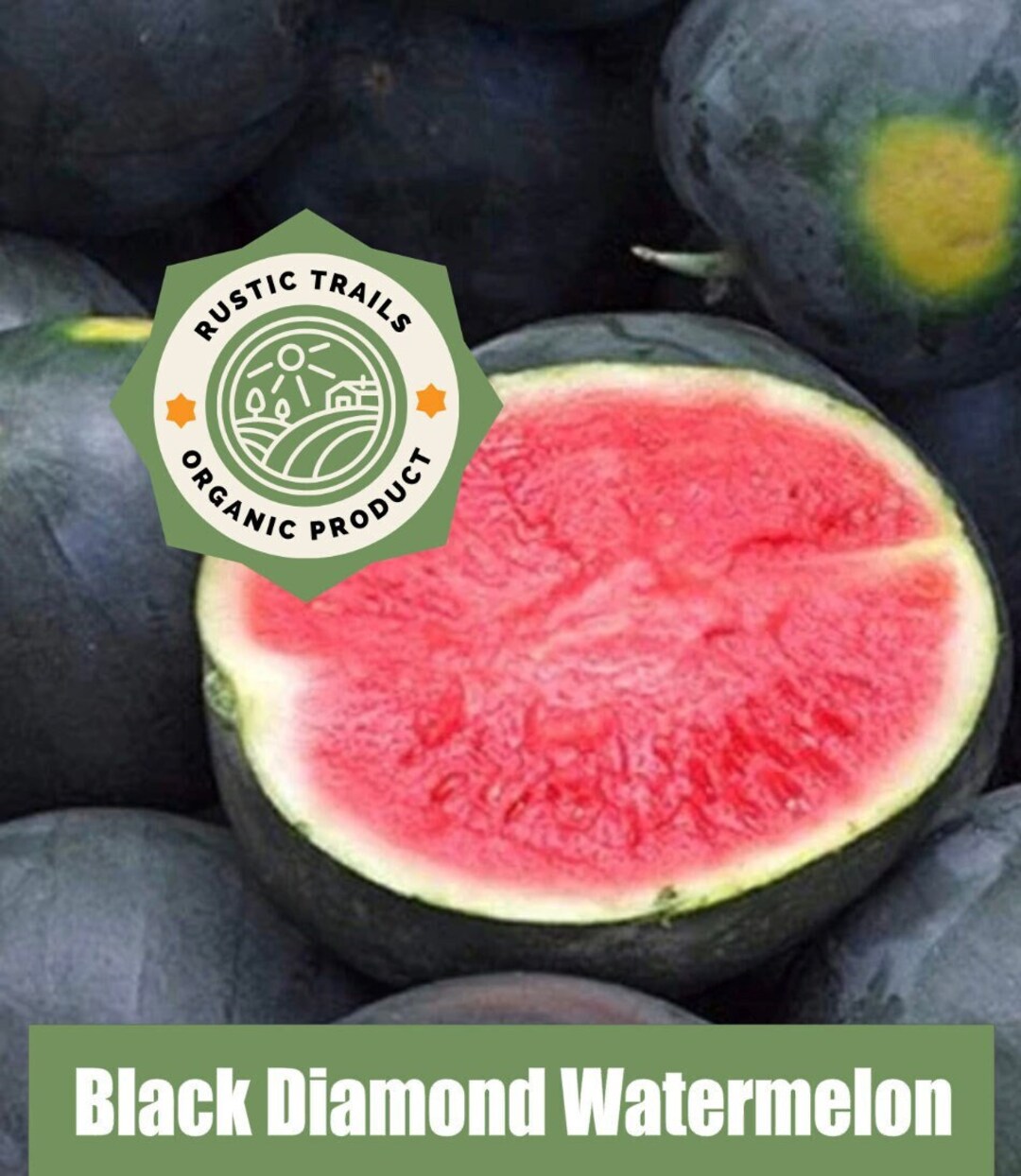 Black Diamond Watermelon Seeds - Heirloom Non GMO Seeds - Fresh USA ...