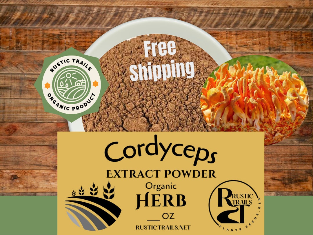 Organic Cordyceps Extract Powder - FREE Shipping - Herb - Etsy