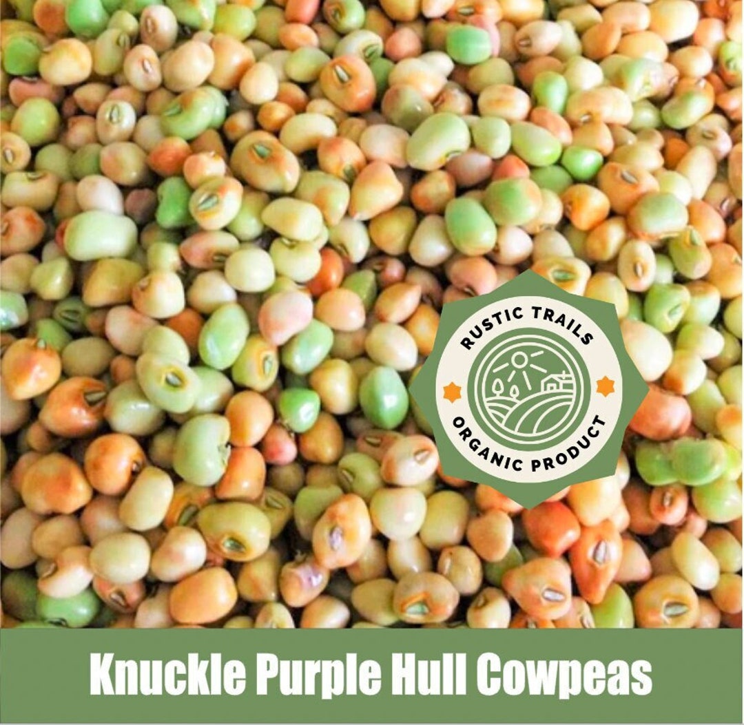 Knuckle Purple Hull Cowpeas Organic Seeds - None GMO - Heirloom - Etsy