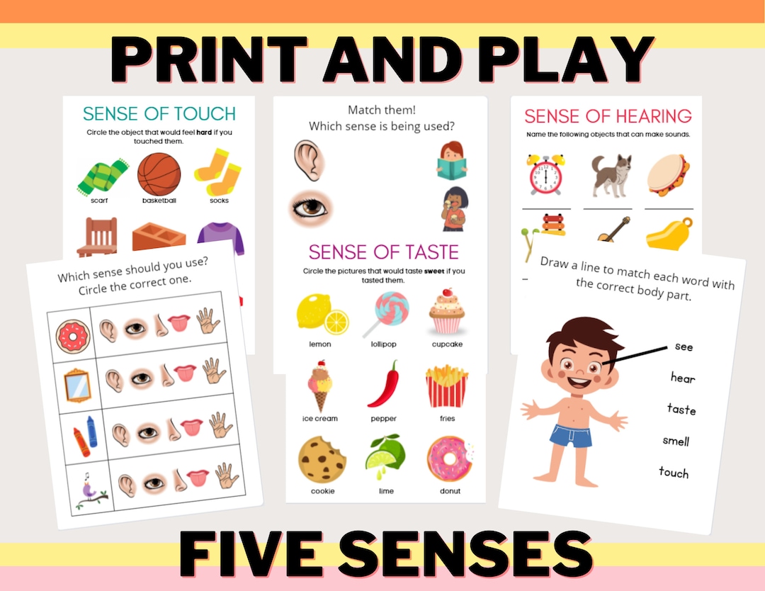 Toddler Five Senses Activities - PRINT AND PLAY - Learning - Busy Book ...