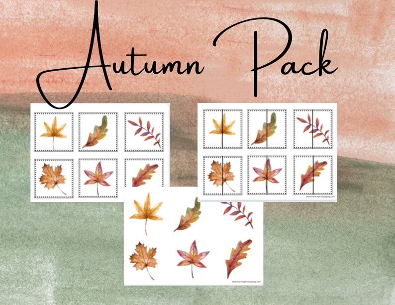 Autumn Printable Pack - Pumpkin Counting - Shadow Matching - Fall ...