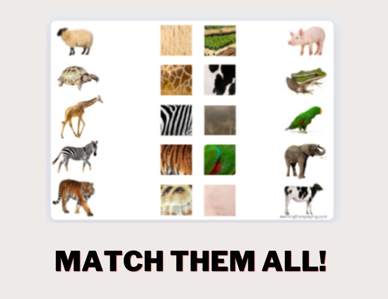 Toddler Animal Activities - Print Matching - Learning - Toddler Busy ...