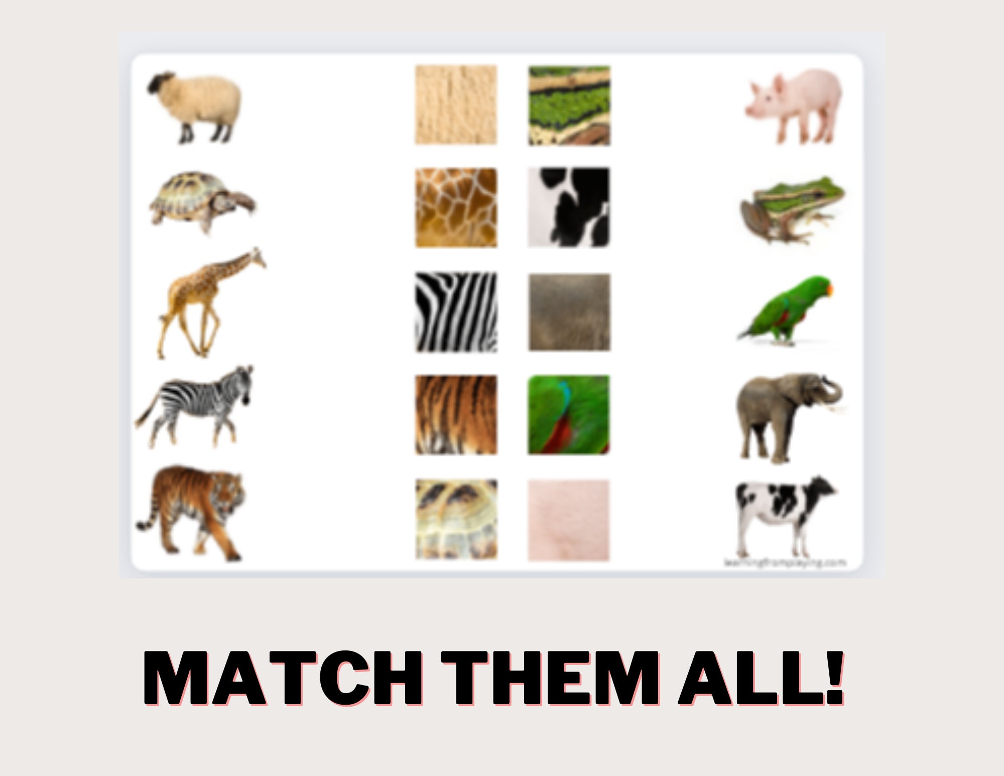 Toddler Animal Activities Print Matching Learning Toddler Busy Book ...