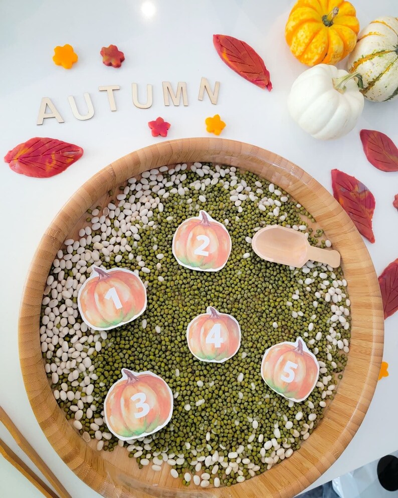 Autumn Printable Pack - Pumpkin Counting - Shadow Matching - Fall ...