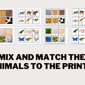 Toddler Animal Activities - Print Matching - Learning - Toddler Busy ...