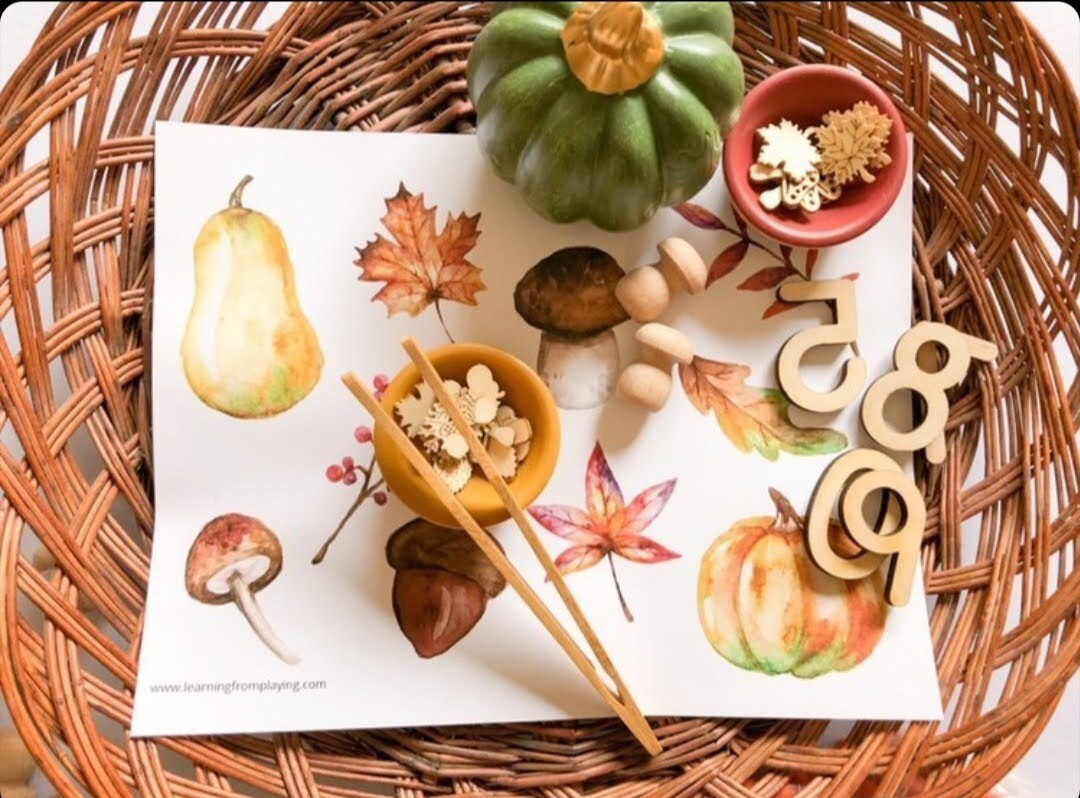 Autumn Printable Pack - Pumpkin Counting - Shadow Matching - Fall ...