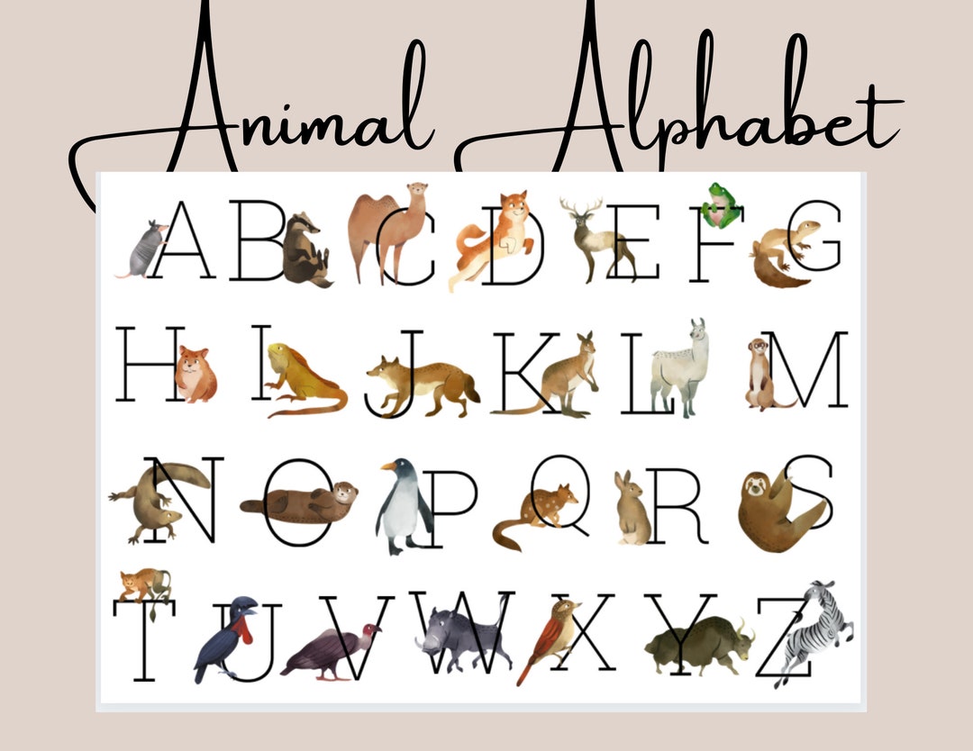 Toddler Animal Alphabet - Simple Beautiful Learning Cards - Nature ...