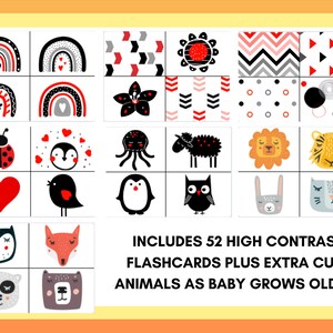 Baby High Contrast Cards Newborn Learning Visual - Etsy
