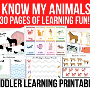 Toddler Animal Activities - Toddler Busy Book - Toddler Printable ...