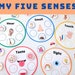 Toddler Learning Pack Matching Activity Five Senses, Numbers, Colors ...