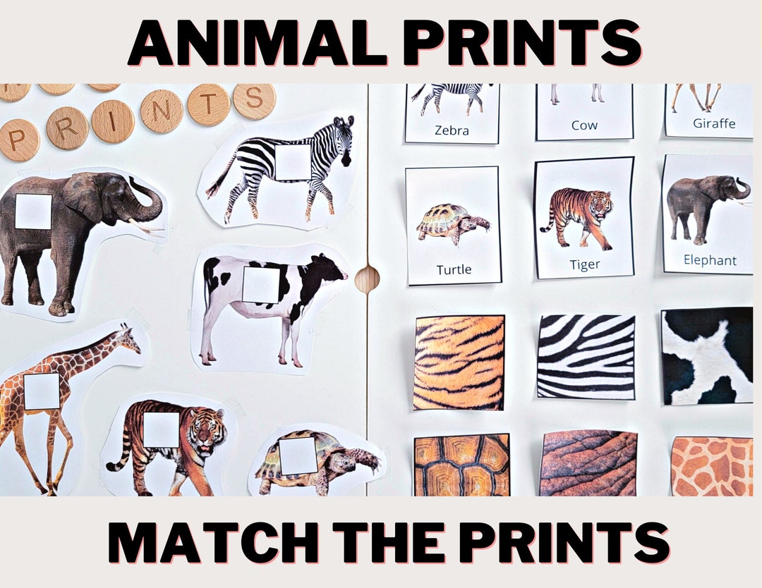 Toddler Animal Activities - Print Matching - Learning - Toddler Busy ...