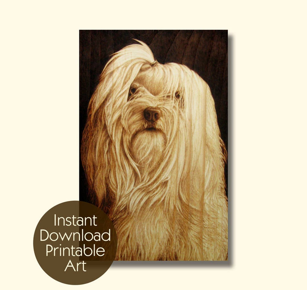 Maltese Dog, Pyrography, Wood Burning, Art, Instant Download, Printable ...