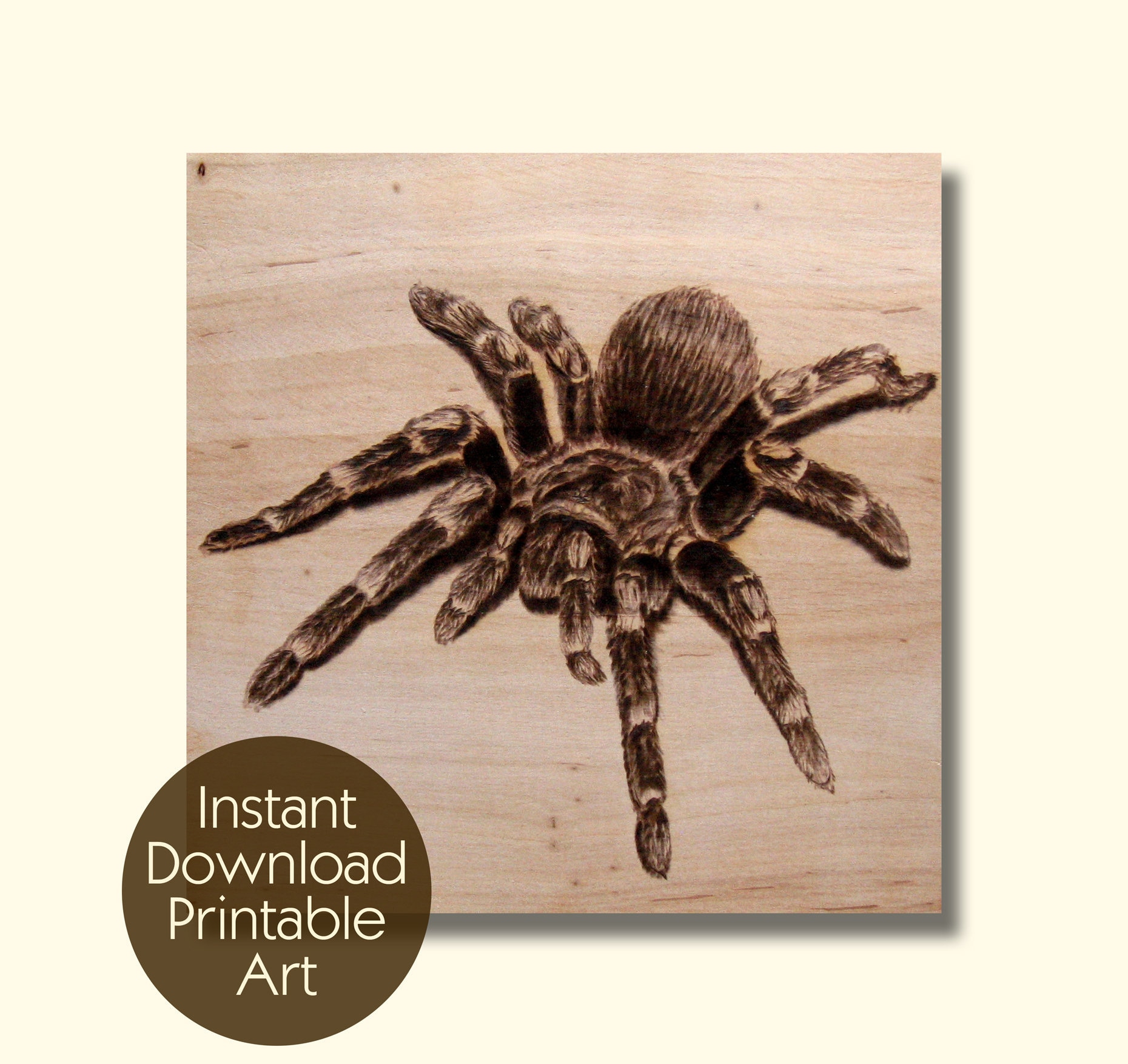 Spider, Tarantula, Pyrography, Wood Burning, Art, Instant Download ...