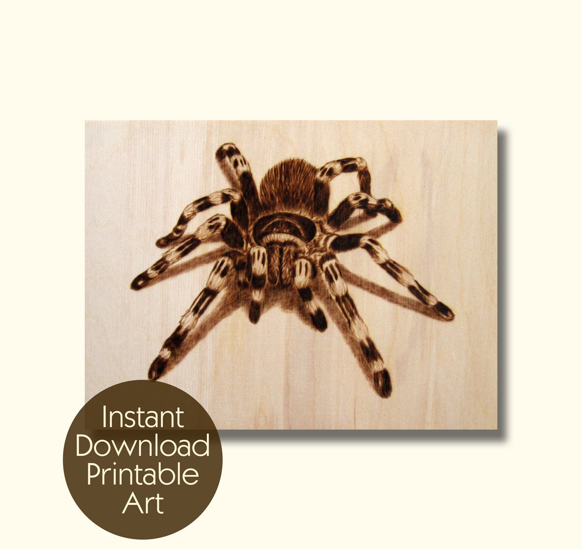 Spider, Tarantula, Pyrography, Wood Burning, Art, Instant Download ...