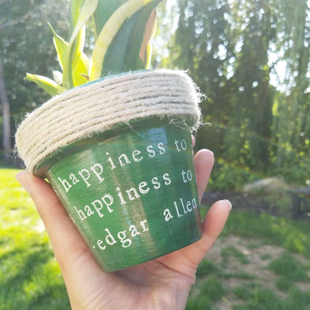 Custom Hand Painted Flower Pots - Etsy