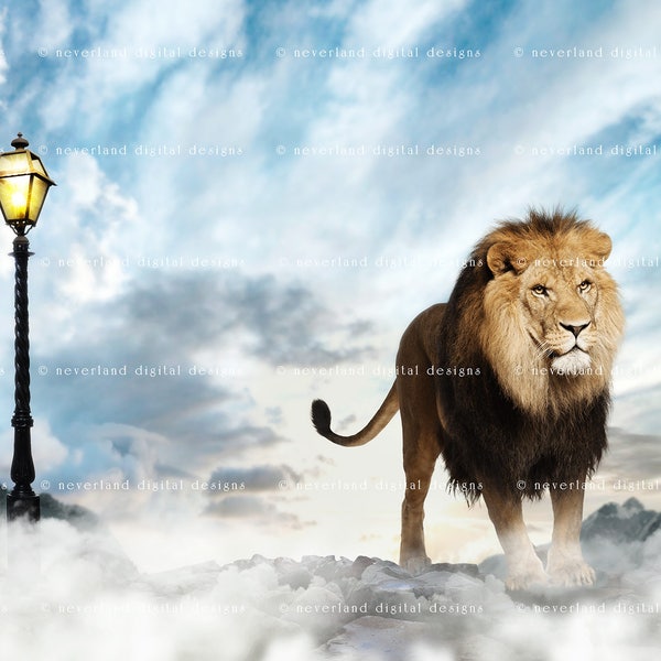 Narnia Wardrobe Backdrop - Etsy