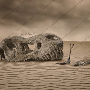 T-rex Dino Dig Digital Background for Photography Compositions ...