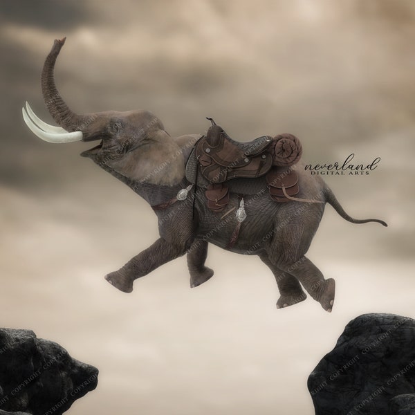 Elephant Saddle - Etsy