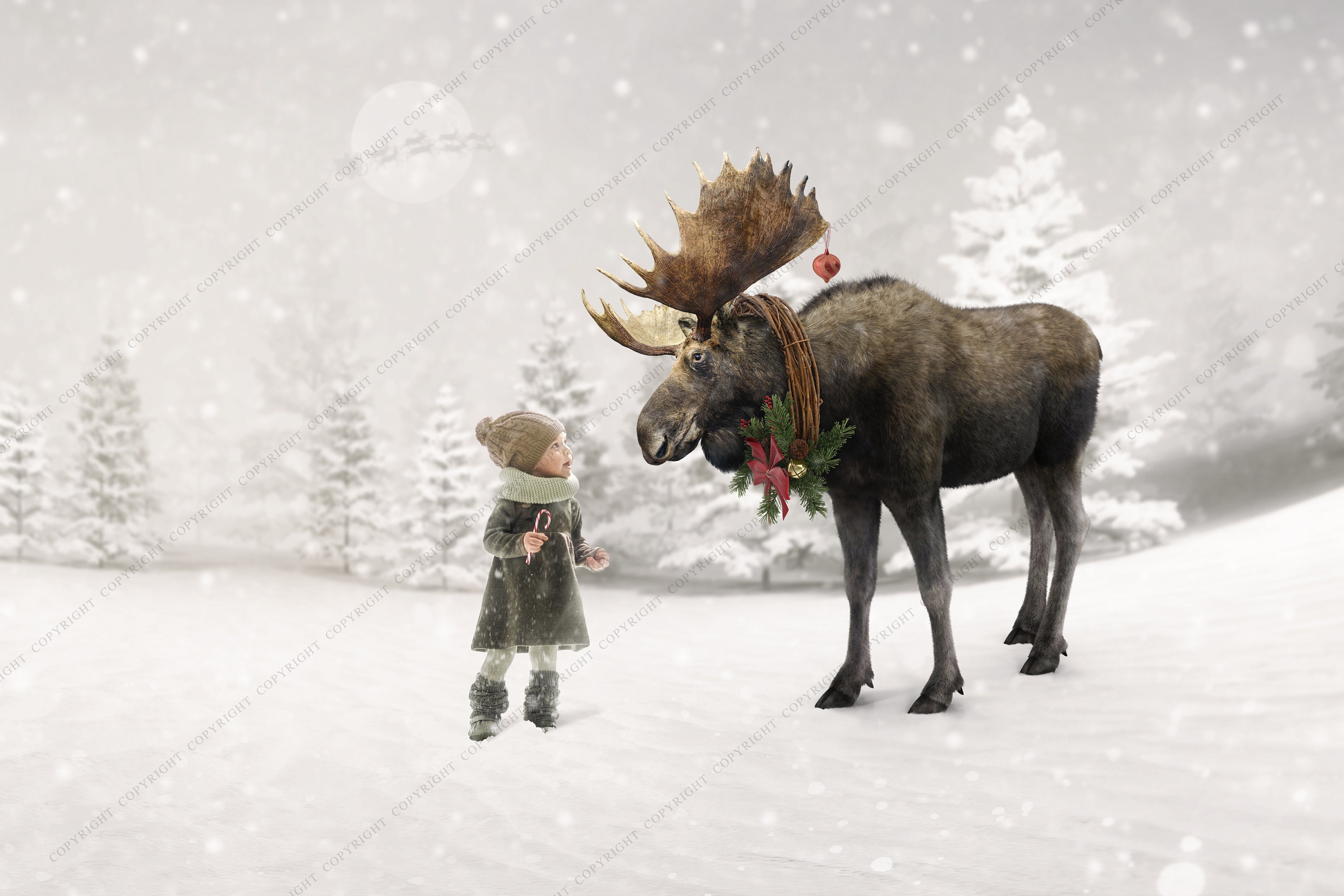 2 pack Festive Moose Winter Background for Photography | Etsy