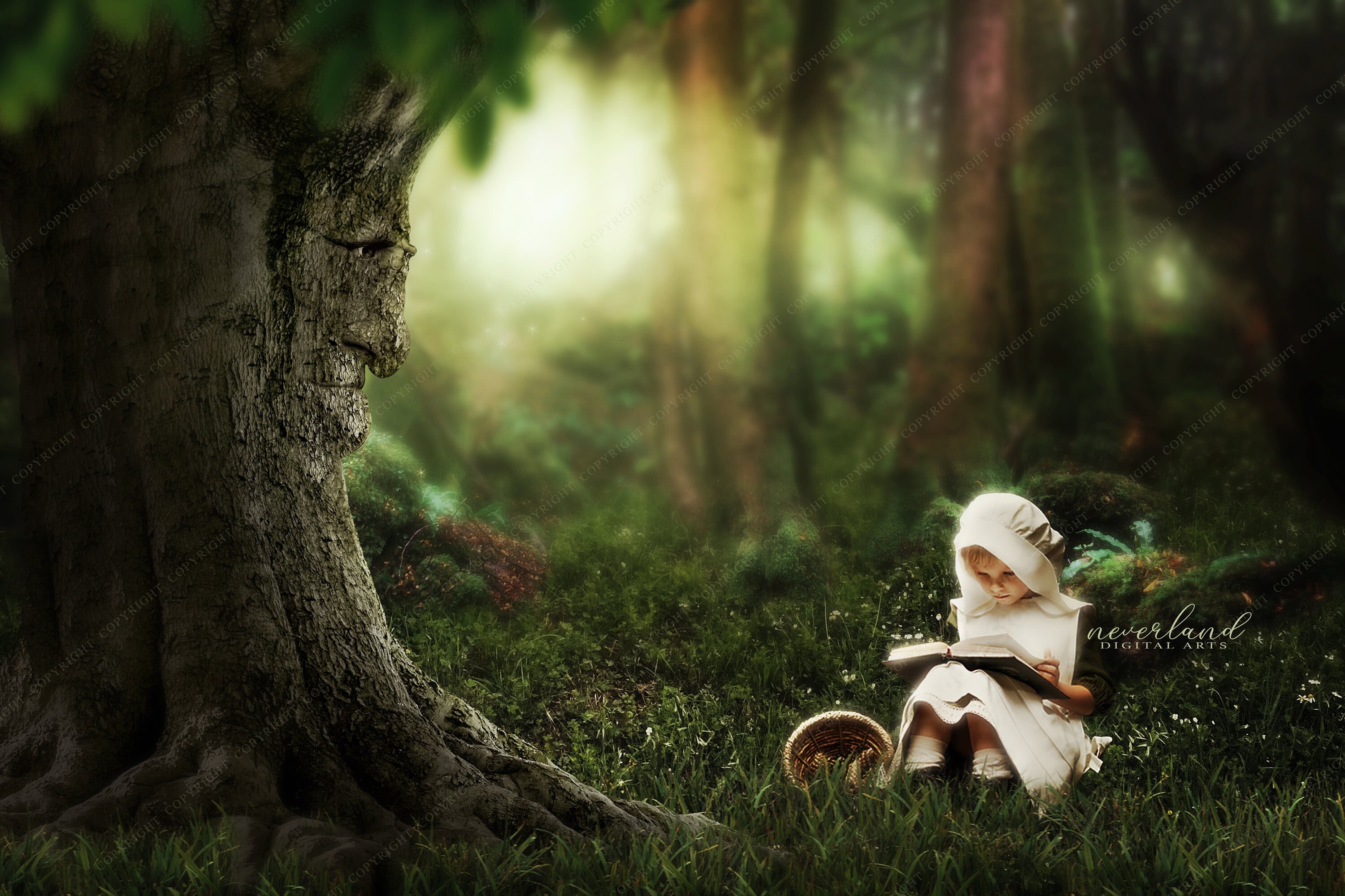 Grumpy Ole Tree in the Forest Background for Composites / | Etsy