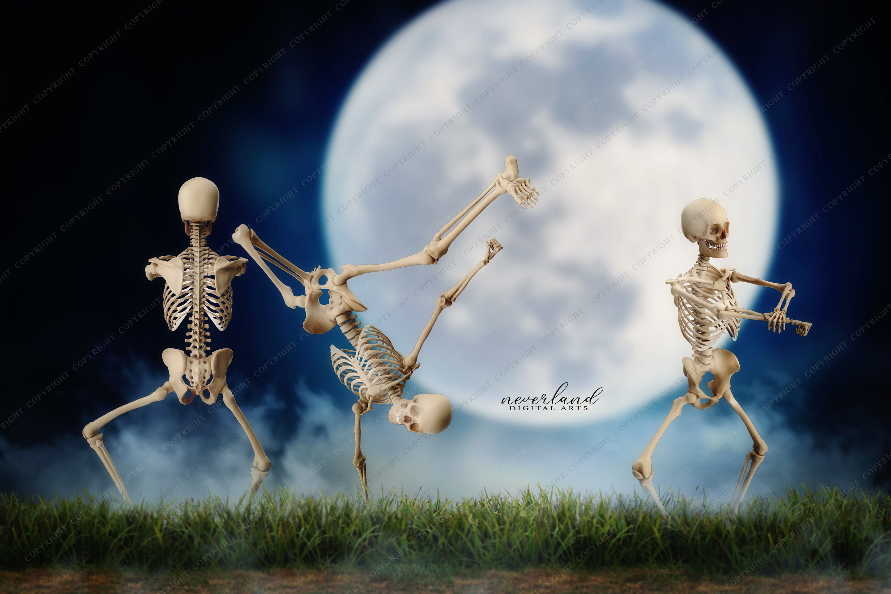 Dancing Skeletons Background for Photographer Composites / | Etsy