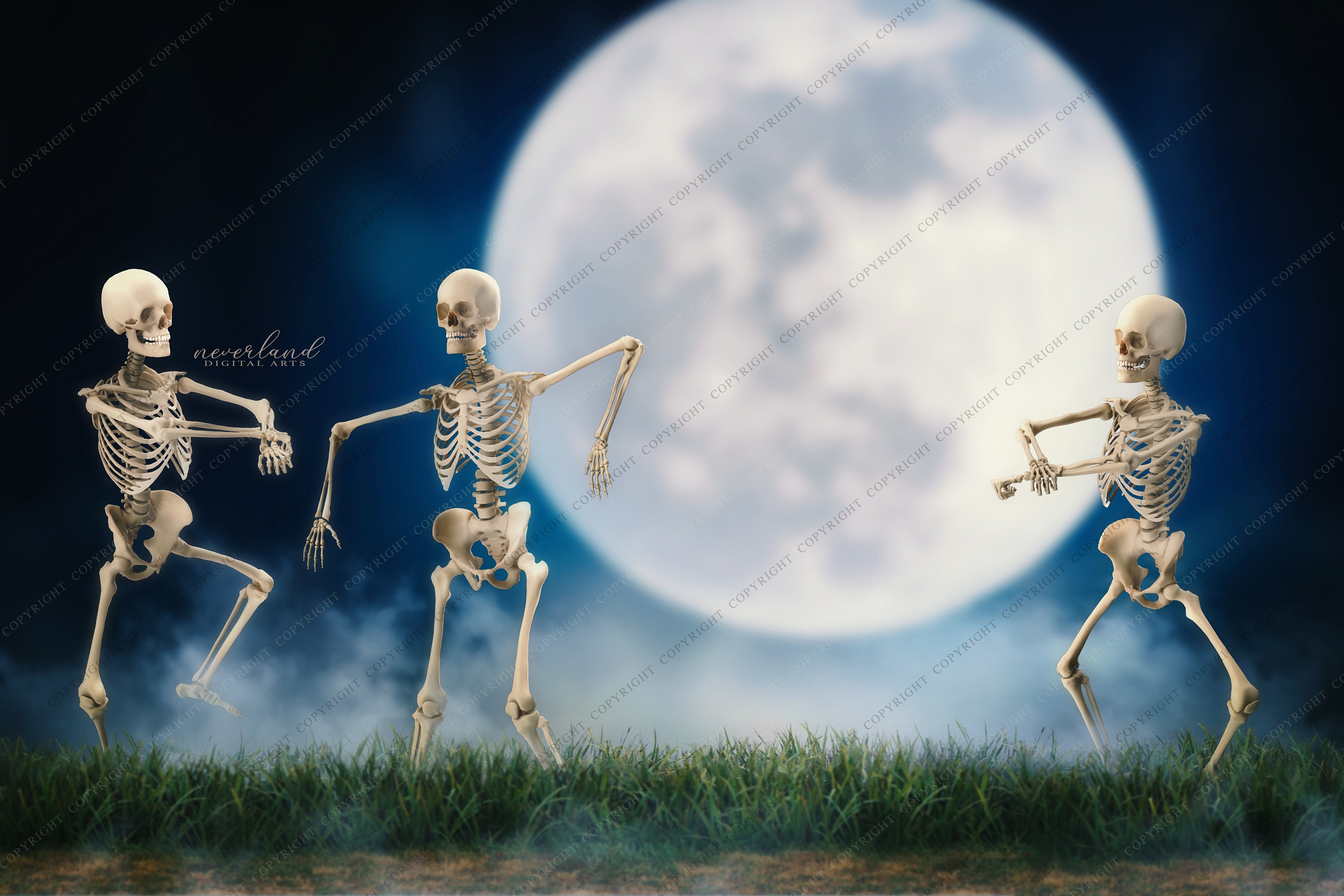 Dancing Skeletons Background for Photographer Composites / - Etsy Canada