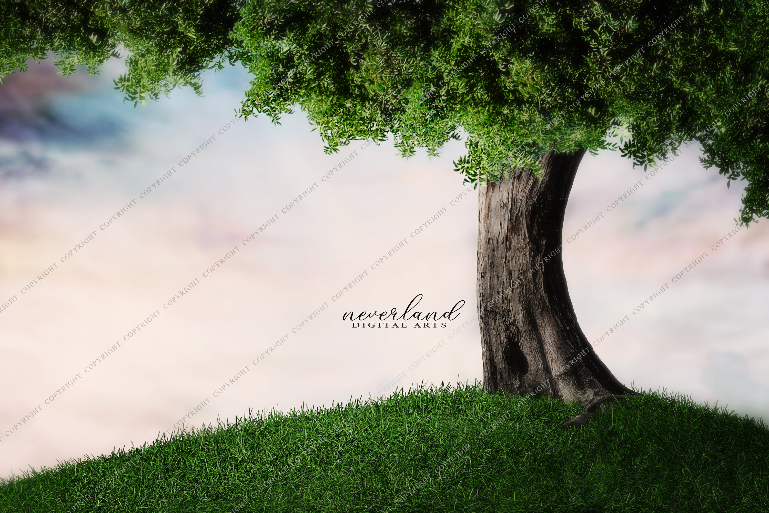 Crooked Tree on a Hill Digital Background for Photographers ...