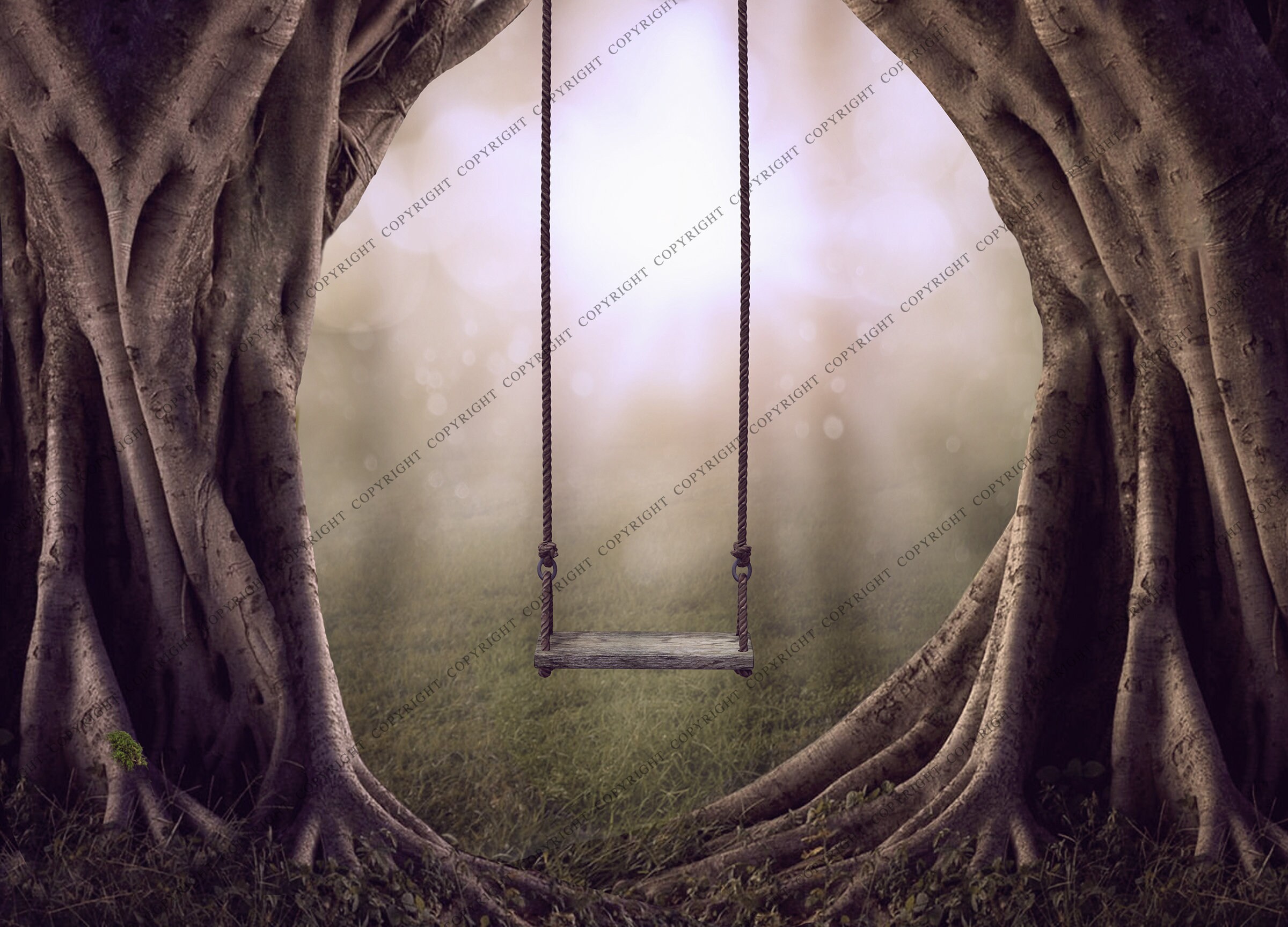 Magical Backdrop Background / Digital Backgrounds for Photographers ...