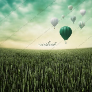 Dreamy Field Digital Background / Backgrounds & Overlays for for ...