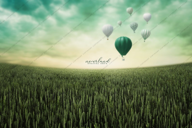 Dreamy Field Digital Background / Backgrounds & Overlays for | Etsy