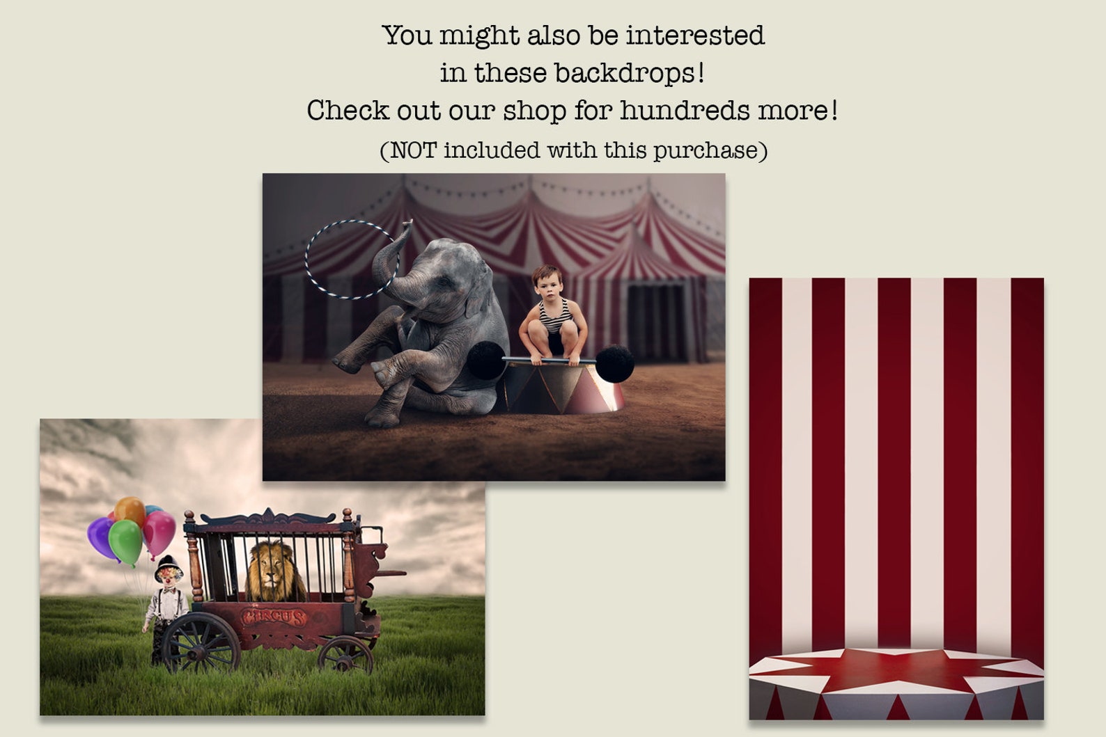 Vintage Carnival Background for Photographers / Circus Backdrop ...