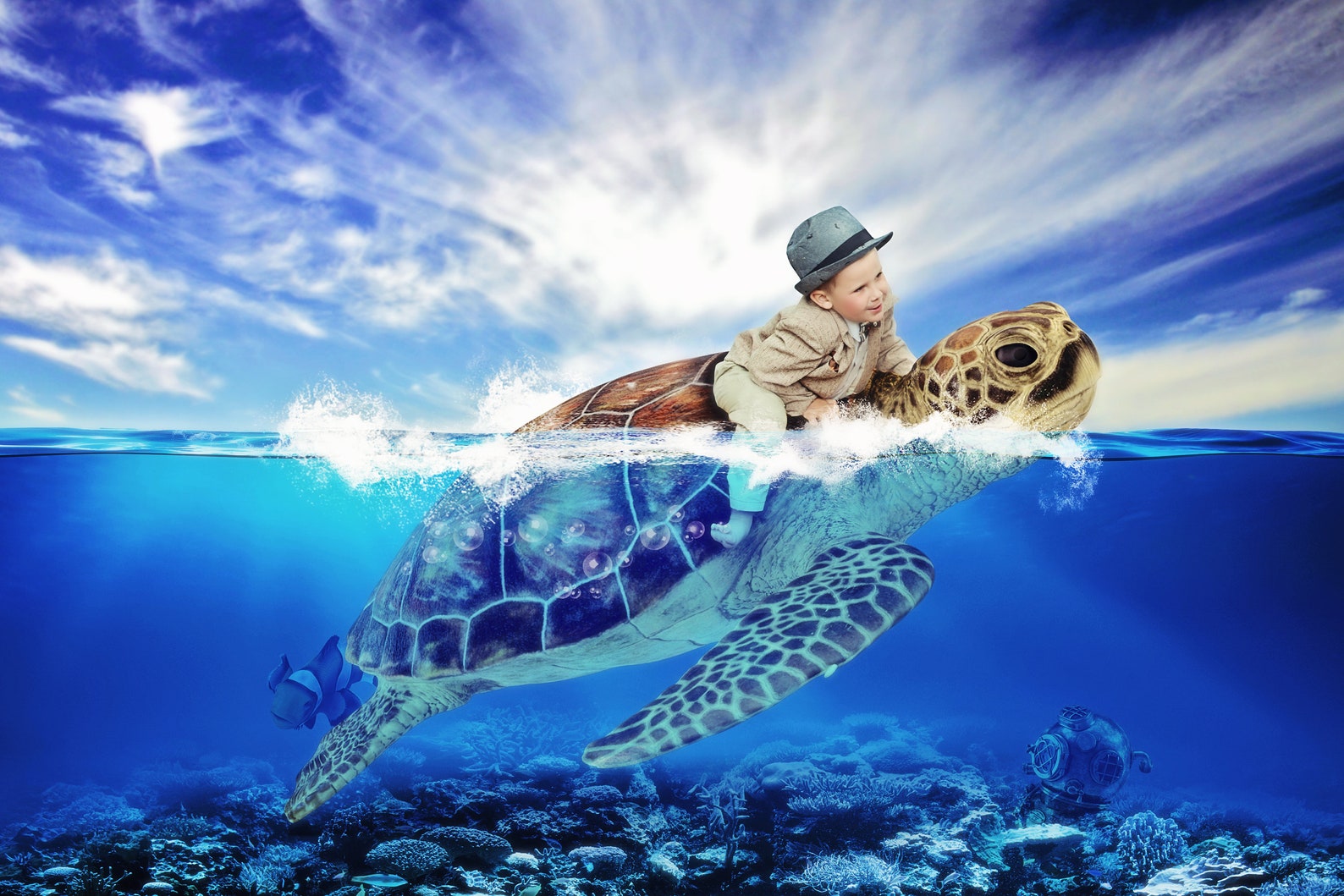 Turtle Backdrop Background / 3 Pack /digital Background / - Etsy