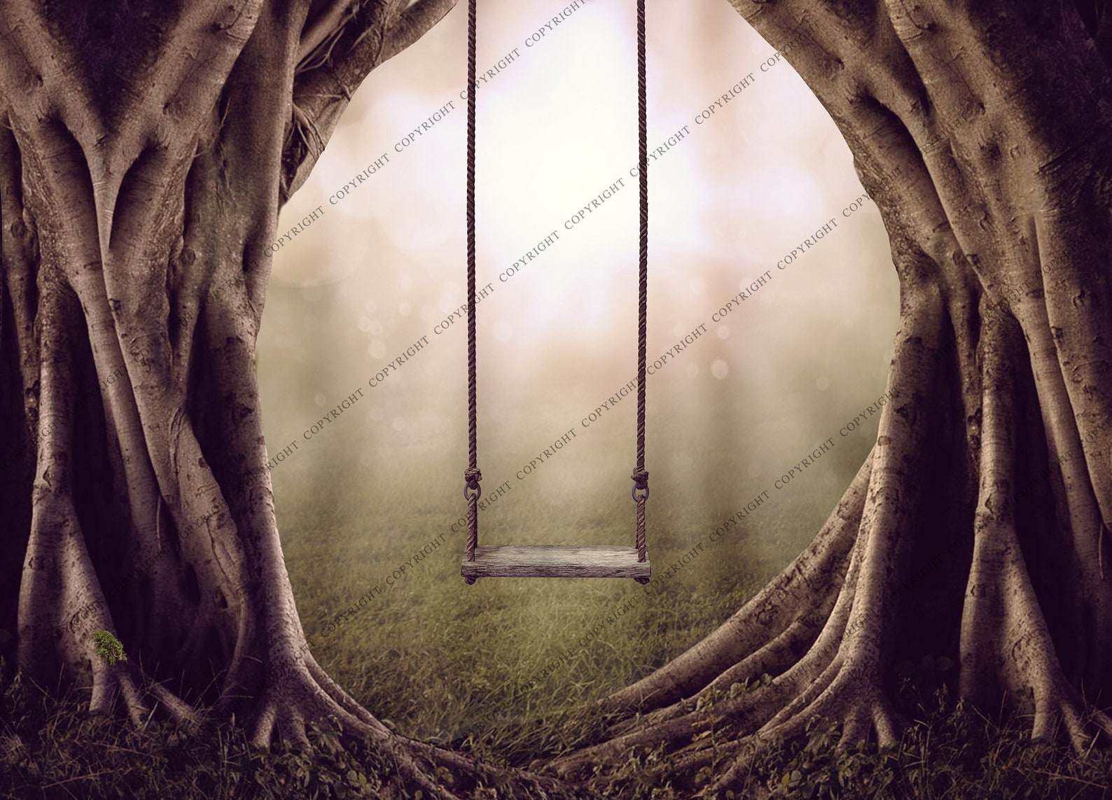 Magical Backdrop Background / Digital Backgrounds for Photographers ...