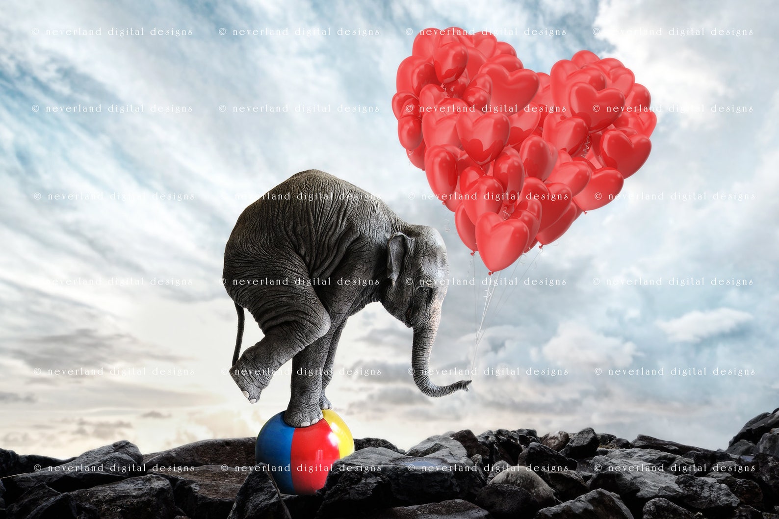 Elephant Backdrop Background / 5 Pack / Digital Background / - Etsy