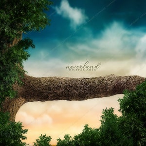 The Tree Branch Background for Compositions / Digital Background for ...