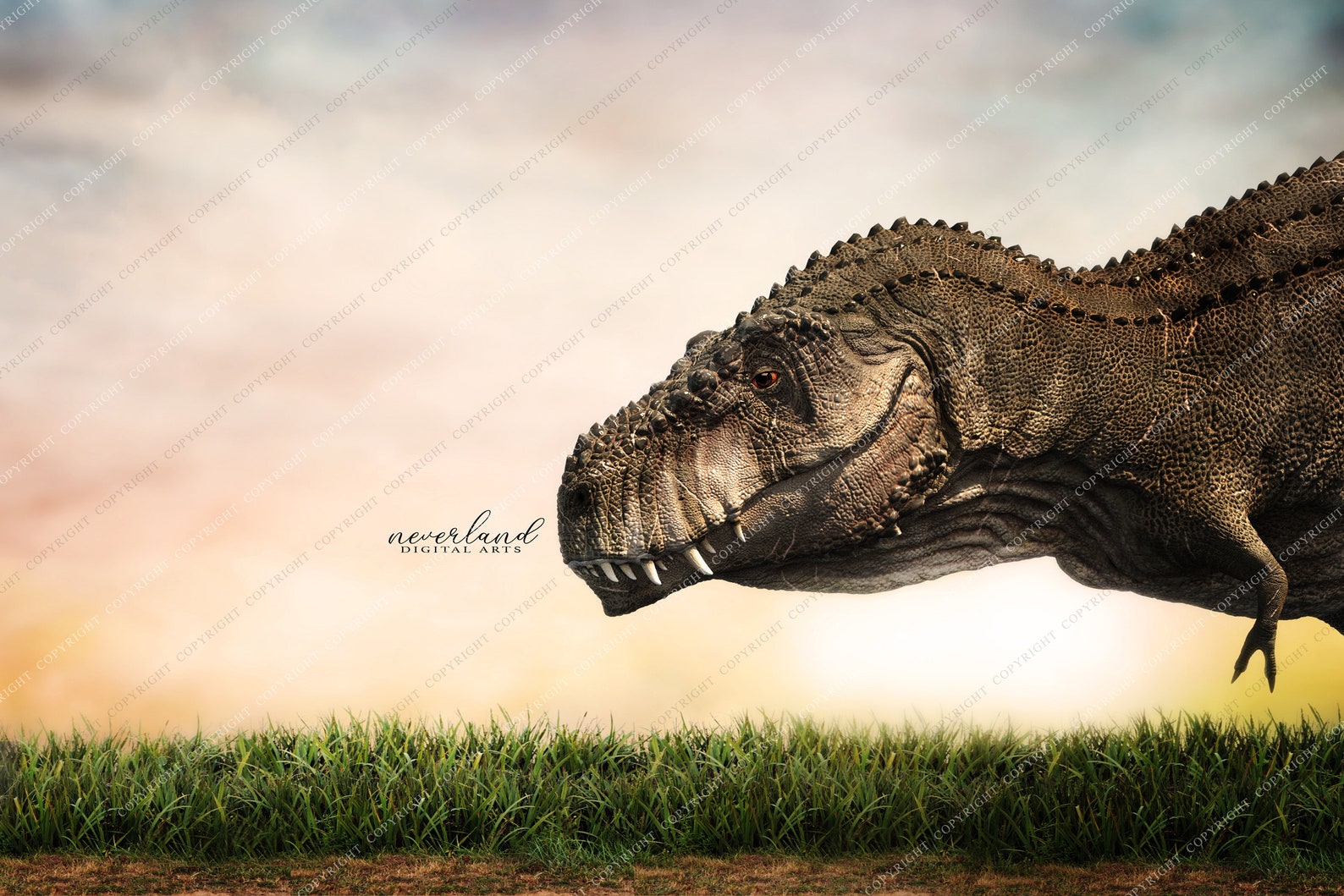 Smiling T-rex Tyrannosaurus Background / Dinosaur Backdrop for - Etsy