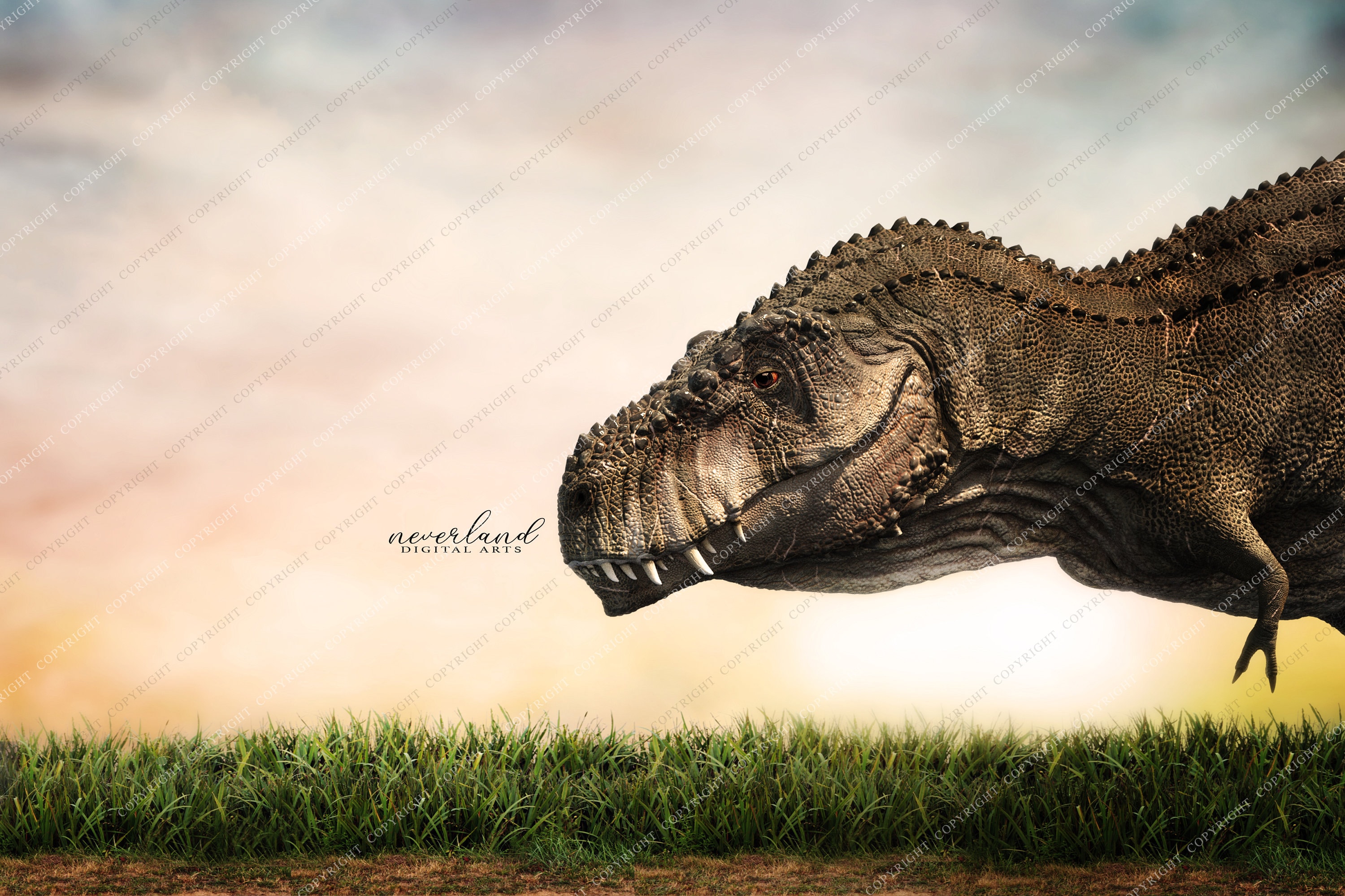 Tyrannosaurus Rex Wallpaper