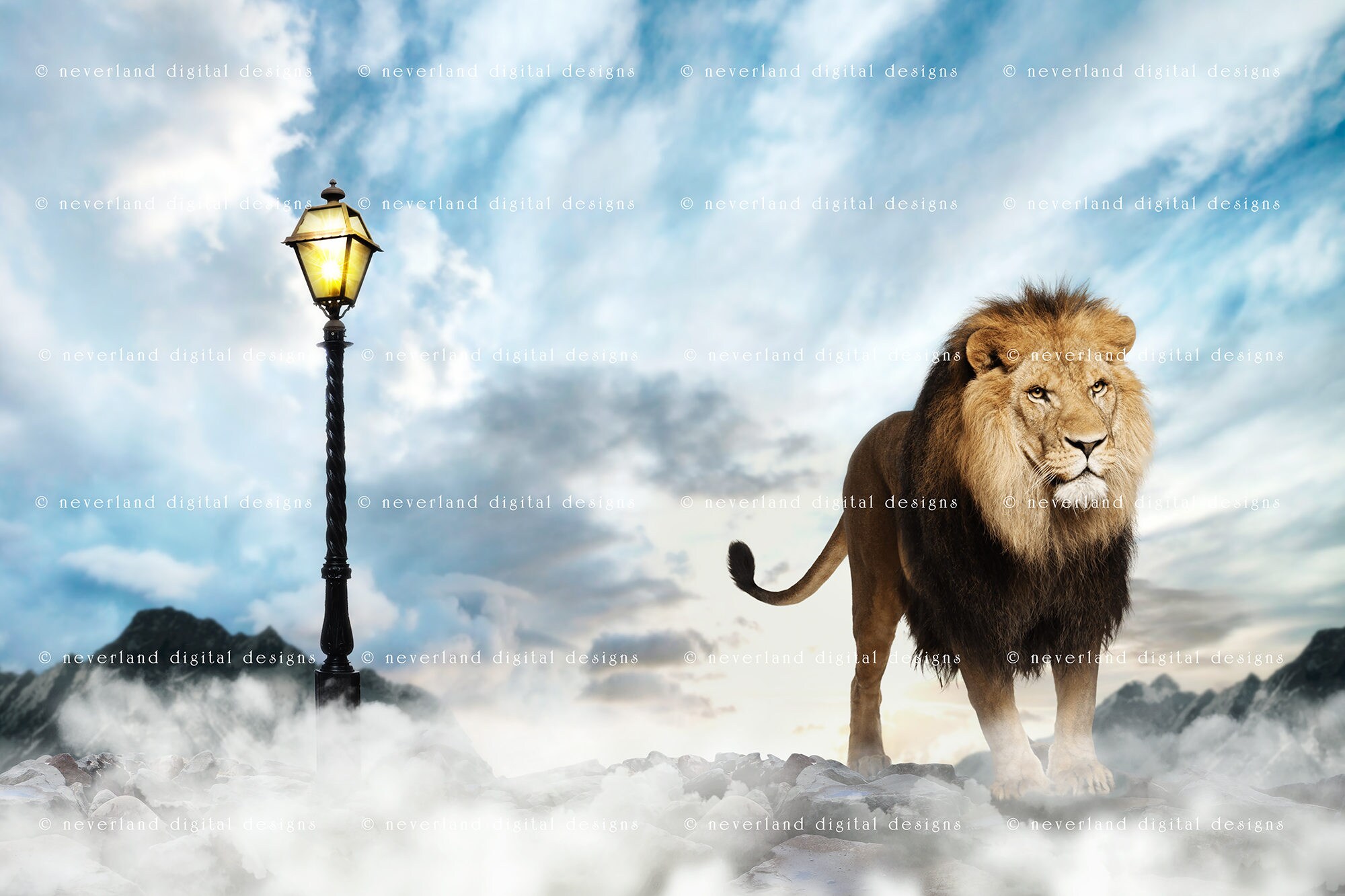 Lion Backdrop Background / 4 Pack / Digital Background / - Etsy Australia