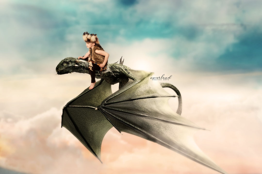 Flying Dragon Digital Background for Photographers / Backgrounds and ...