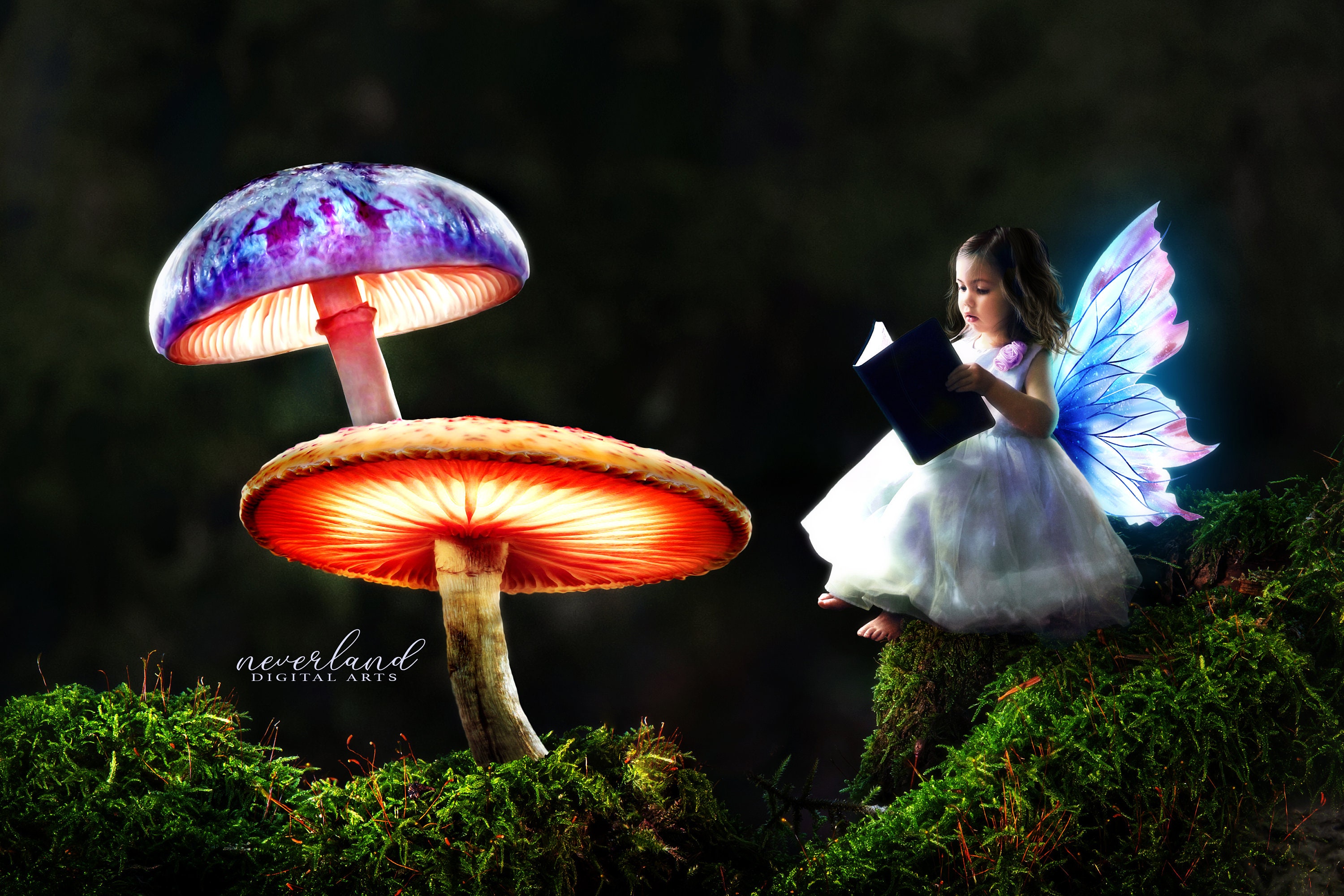 Fairy Nook Digital Background for Photographers and - Etsy