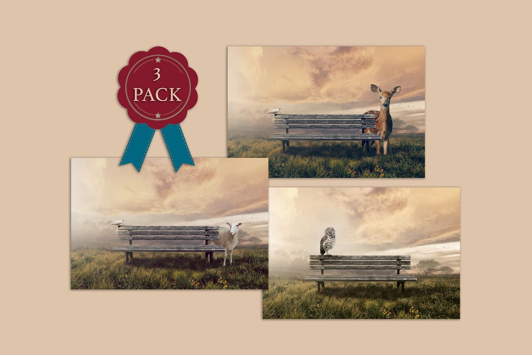 3-PACK Woodlawn Bench Background / Photography Backdrop / Digital ...