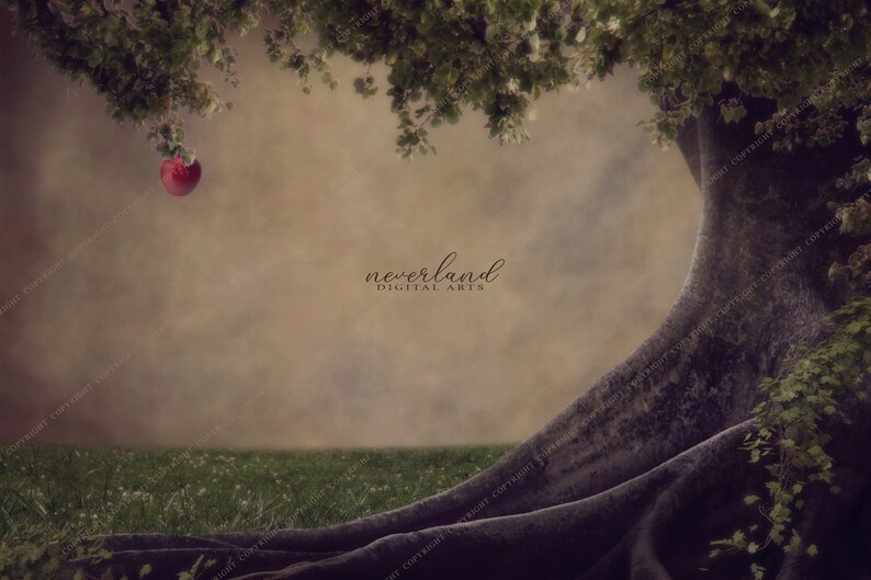 The Apple Tree Background / Digital Background for - Etsy