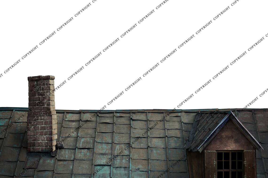 5 PACK Roof Top Backdrop Background / Magical Backdrop / | Etsy