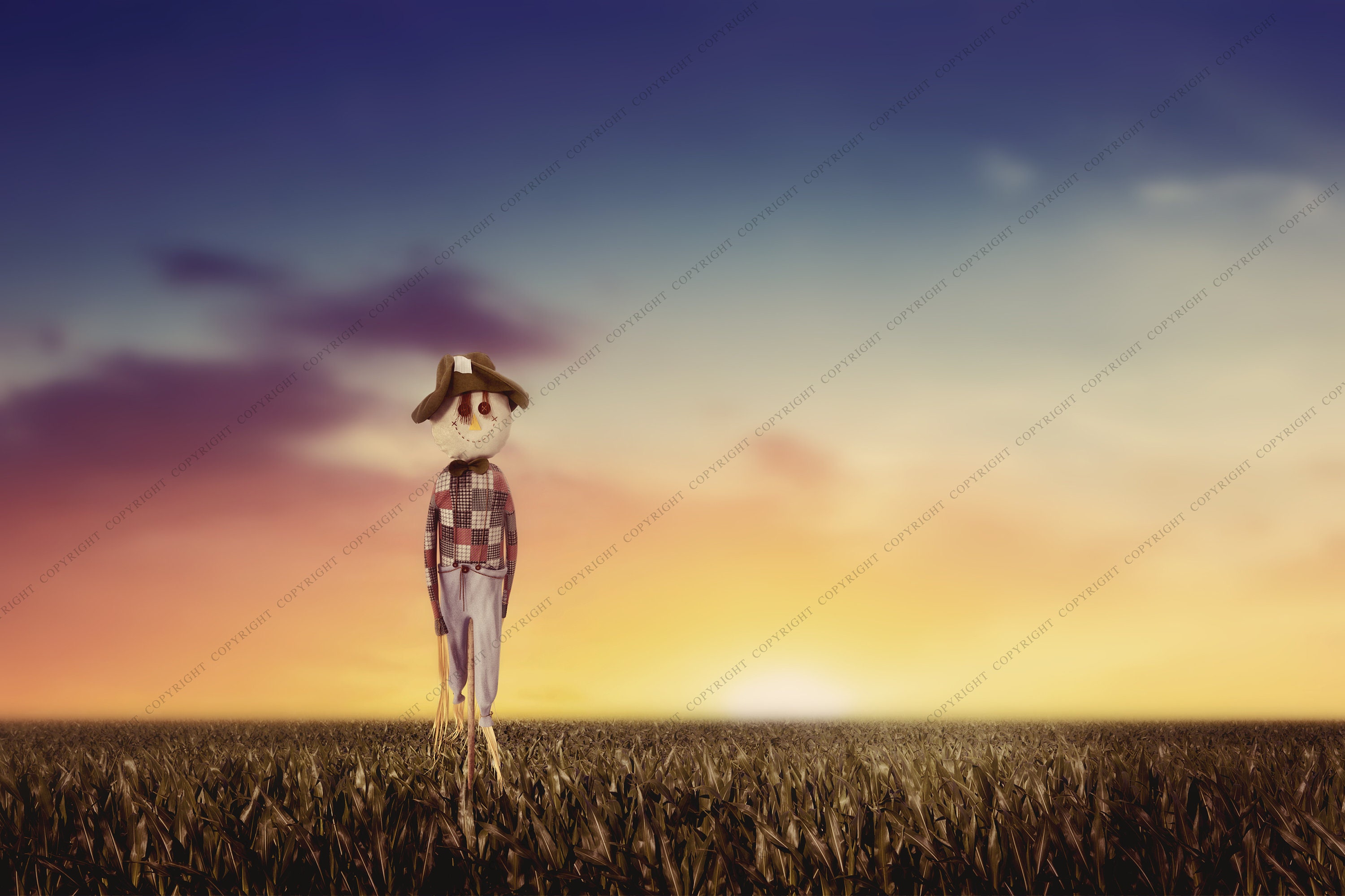 Scarecrow in A Field Background / Photography Background / | Etsy